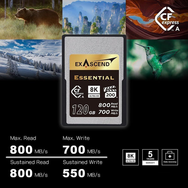 Exascend 480GB Essential Series CFexpress Type A Memory Card – KELLARDS